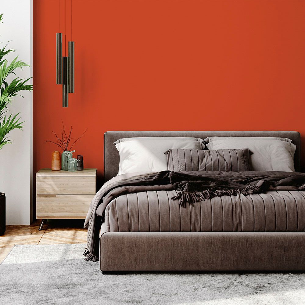 Cinnamon Paint Colors For Accent Wall